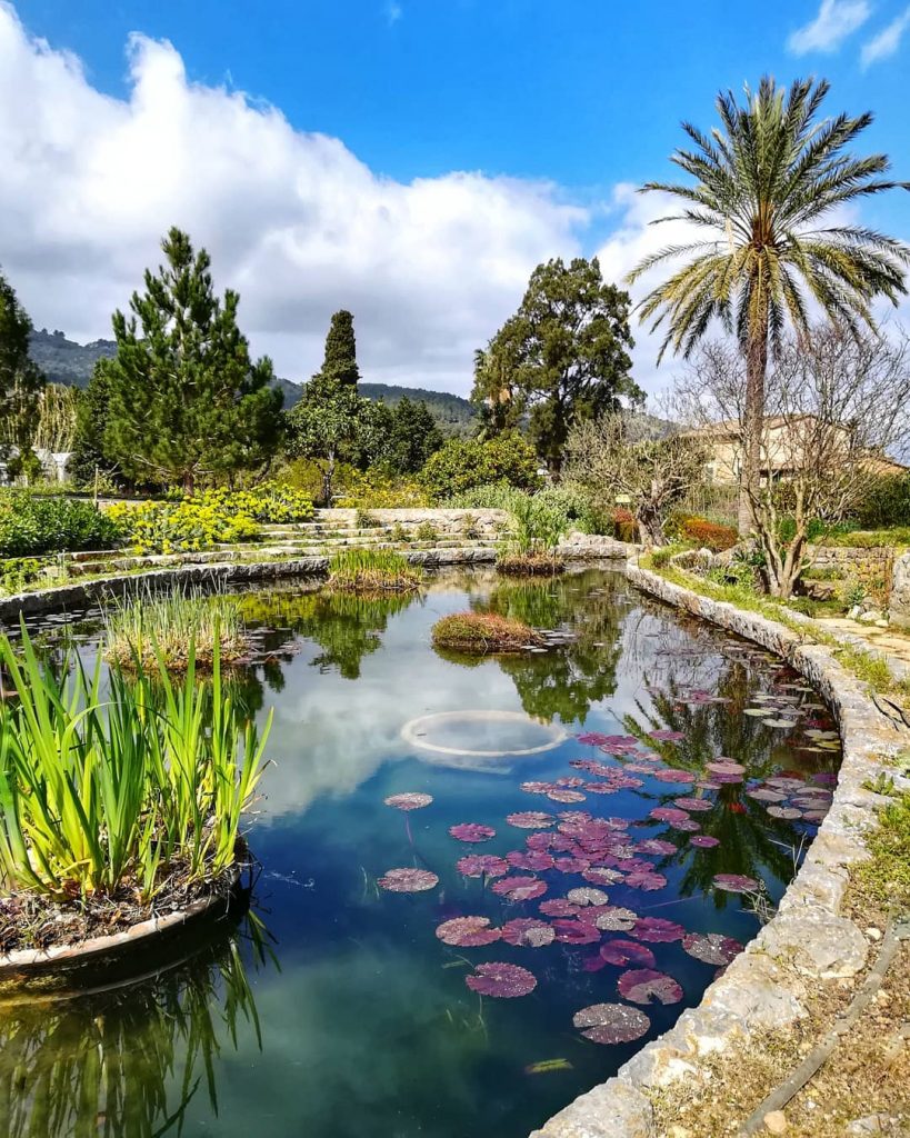 What to do for an unforgettable holiday in Soller - Majorca Villa Finder